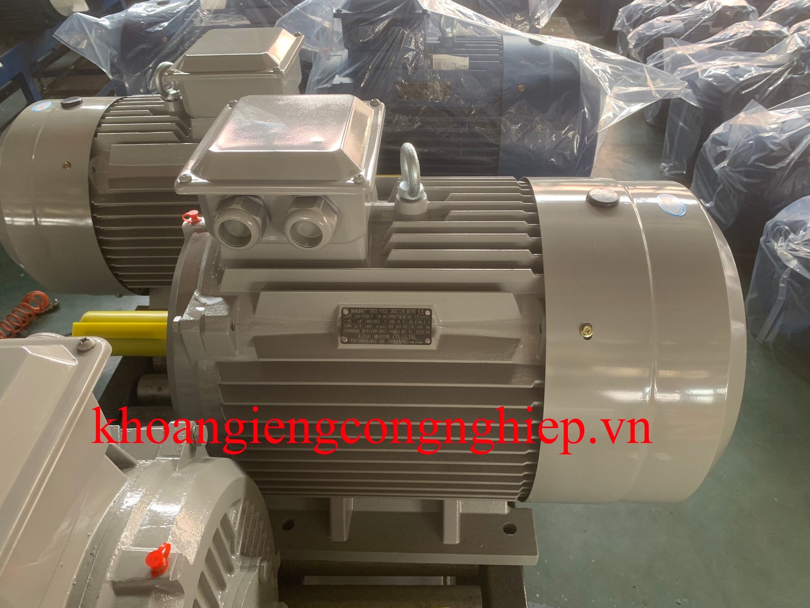 Động cơ điện Dasu YE2-200L1-2 - CN NASA Bình Dương